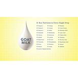 Beekman 1802 2-pack Vanilla Absolute Goat Milk Lip Balm with Gift Bag - 23305482 | HSN