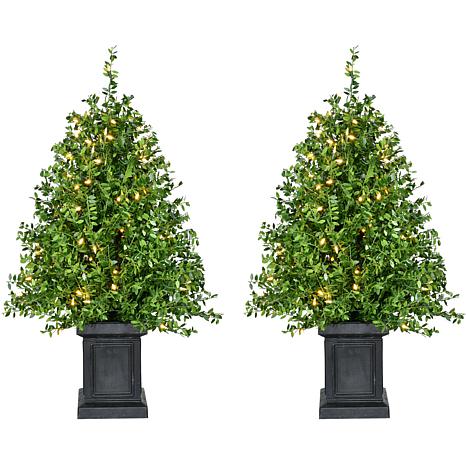 Fraser Hill Farm 4 ft. Boxwood Porch Tree Set with Warm White Lights | HSN