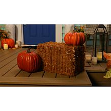 Halloween Decor - Halloween Decoration Sale | HSN