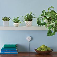 Home Security Systems | HSN