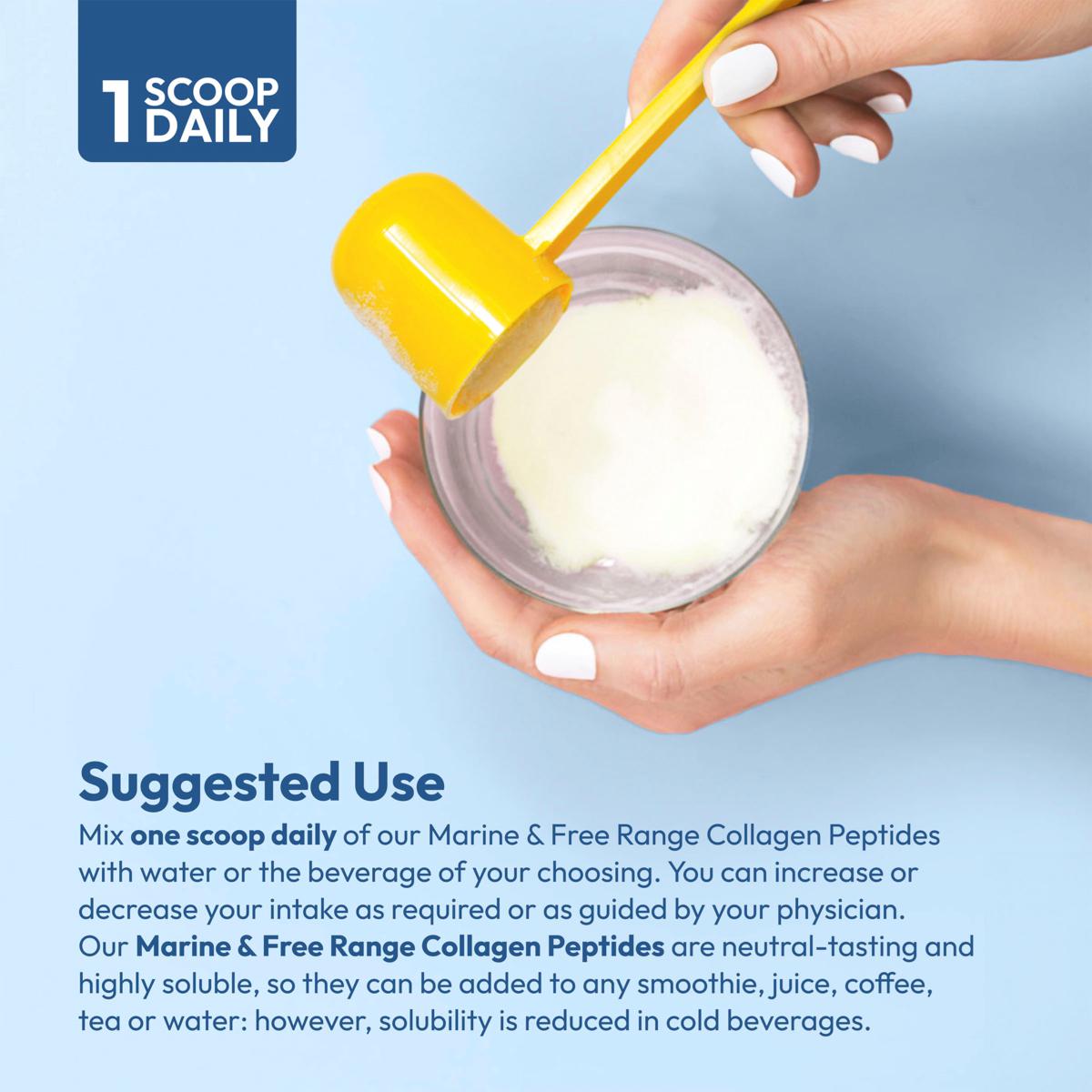 Andrew Lessman Marine and Free Range Collagen Peptides with MSM - 120 ...