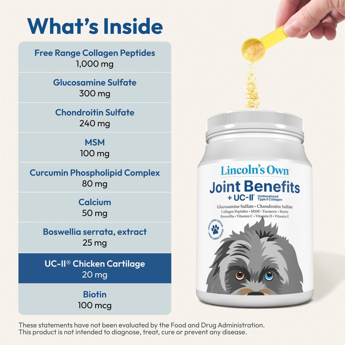 Andrew Lessman Joint Benefits for Dogs UC-II - 500 servings | HSN