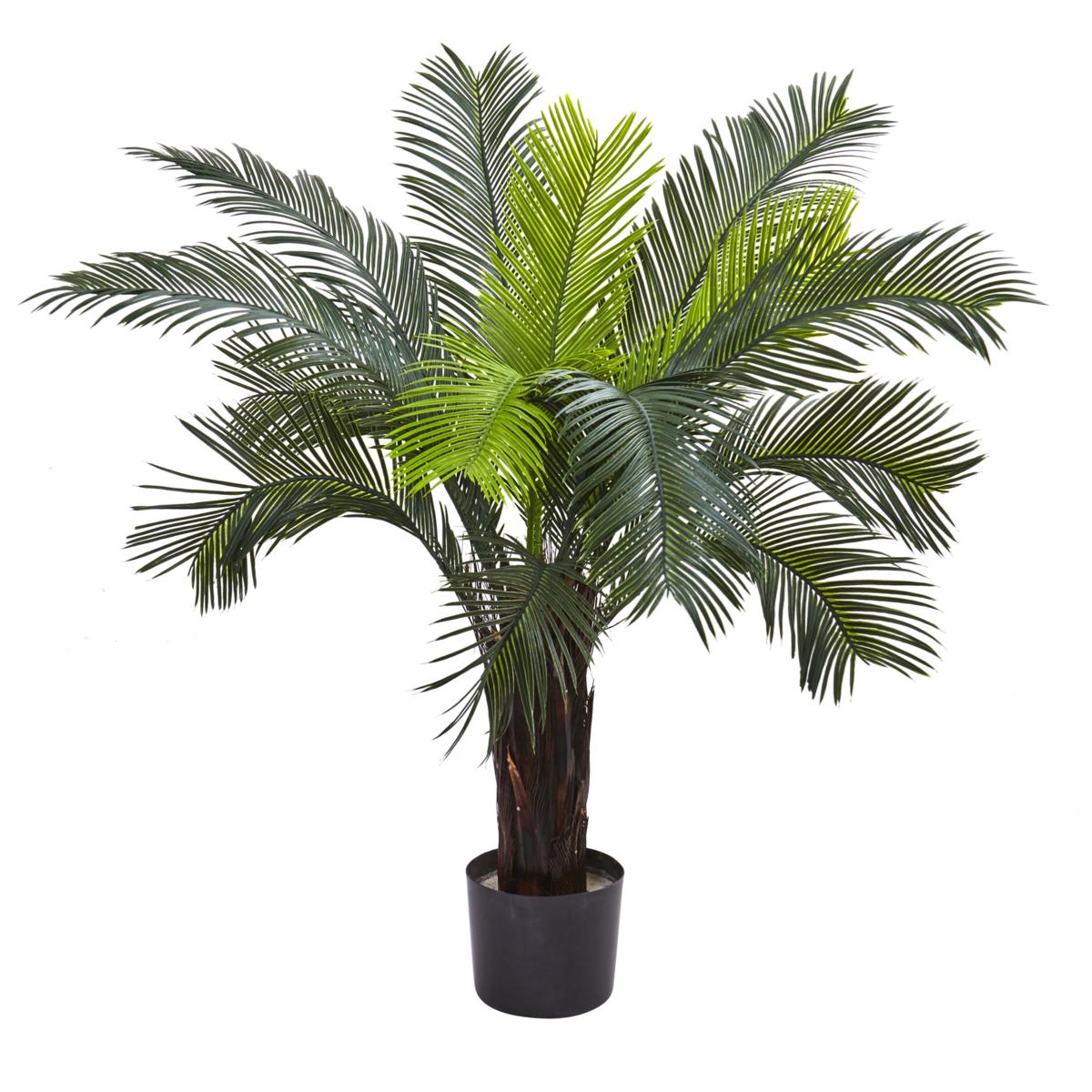 3 Ft. Cycas Tree with 15 Leaves - 9195769 | HSN