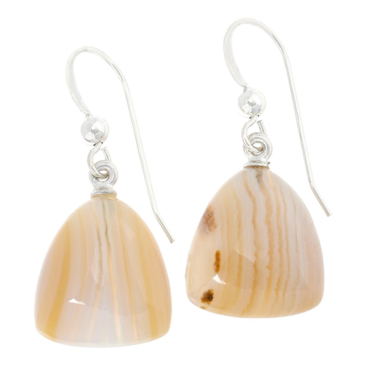 "As Is" Jay King Striped Agate Freeform Drop Earrings | HSN